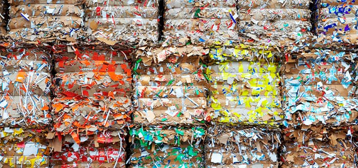 Committed to Safety: Visy Expands Pegasus Solution - Pegasus