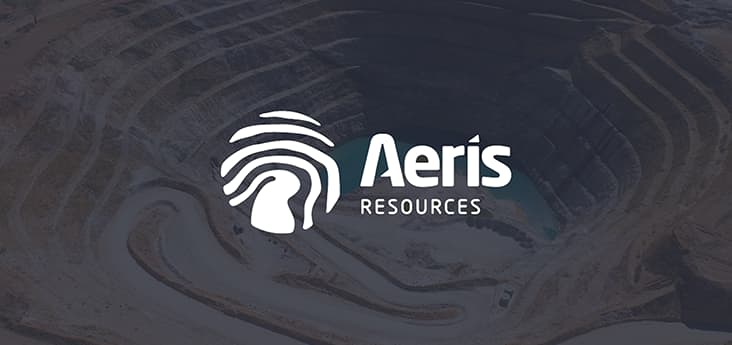 Pegasus Partners With First Copper Mine - Pegasus