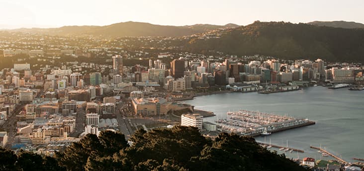 Growth and Value as Pegasus Partners with Chorus in NZ - Pegasus